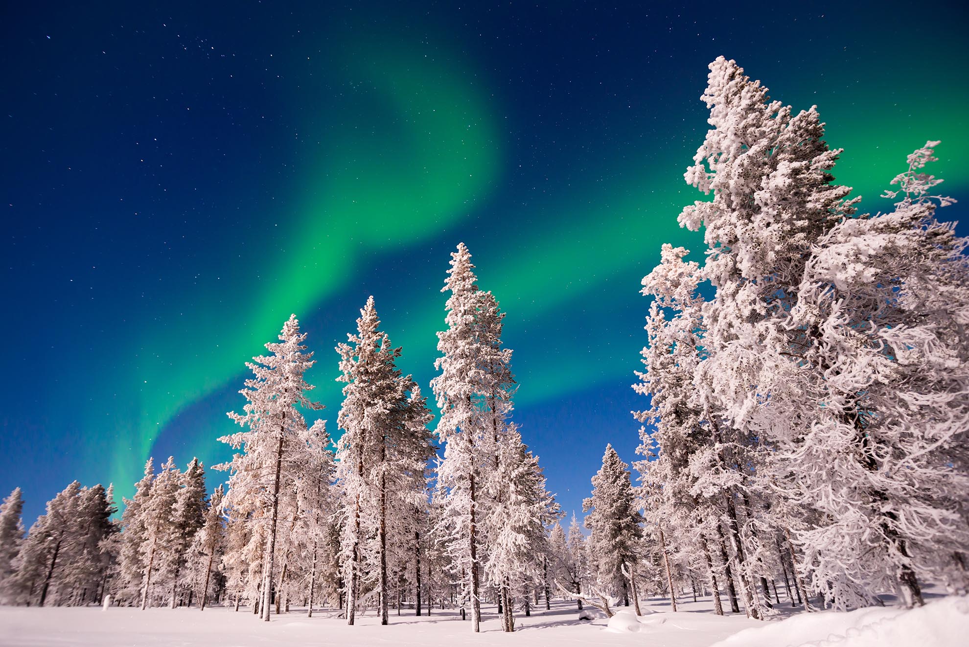 DMC in Lapland - Travel agency DMC Lapland
